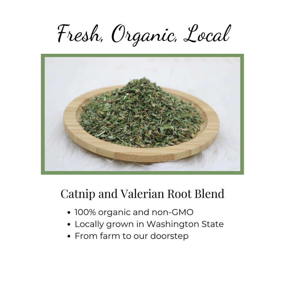 Snap on Pet Bandanas | Catnip and Valerian Root Cat Toys – The Luminous ...